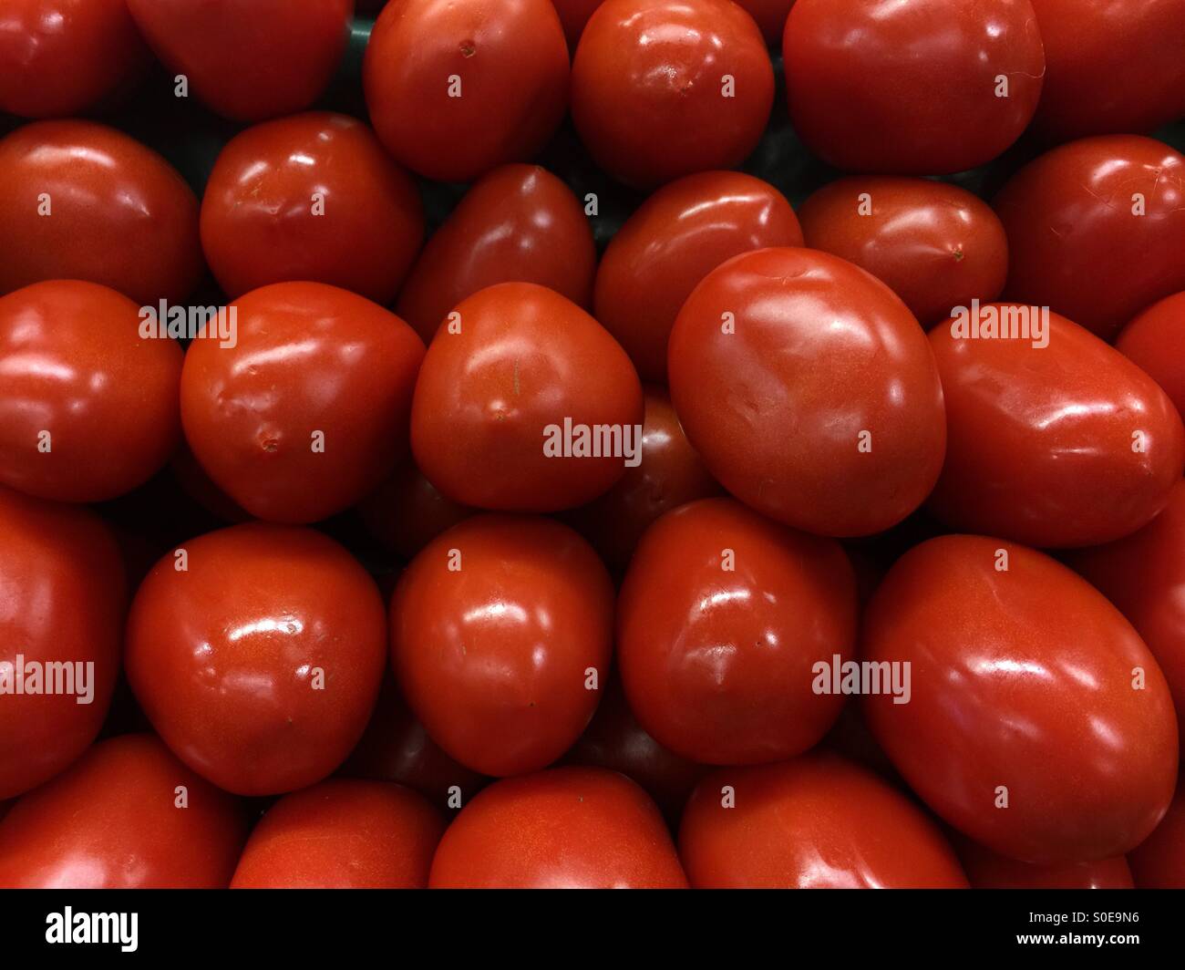 Roma tomatoes hi-res stock photography and images - Alamy