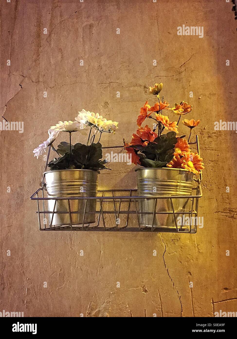 Macetero pared hi-res stock photography and images - Alamy