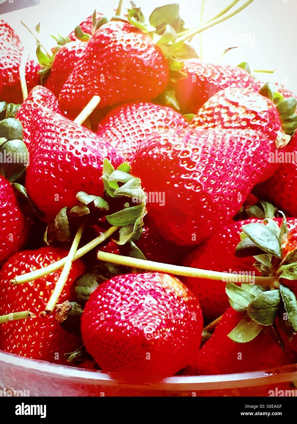 Strawberries with stems hi-res stock photography and images - Alamy