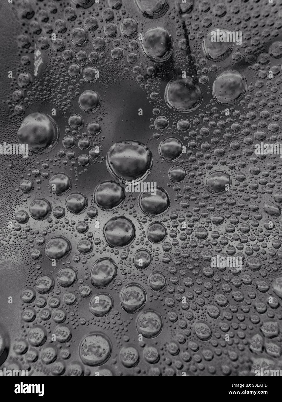 Water drops on plastic sheeting Stock Photo - Alamy