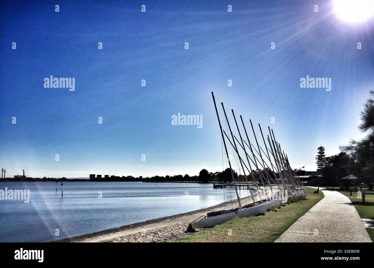 City of swan hi-res stock photography and images - Alamy