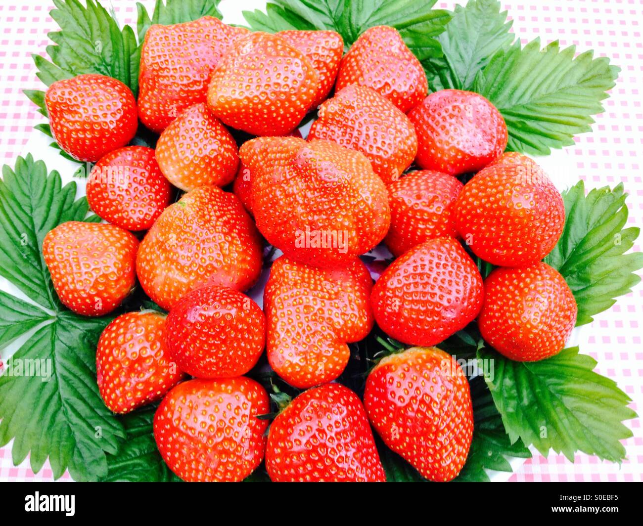English strawberries hi-res stock photography and images - Alamy