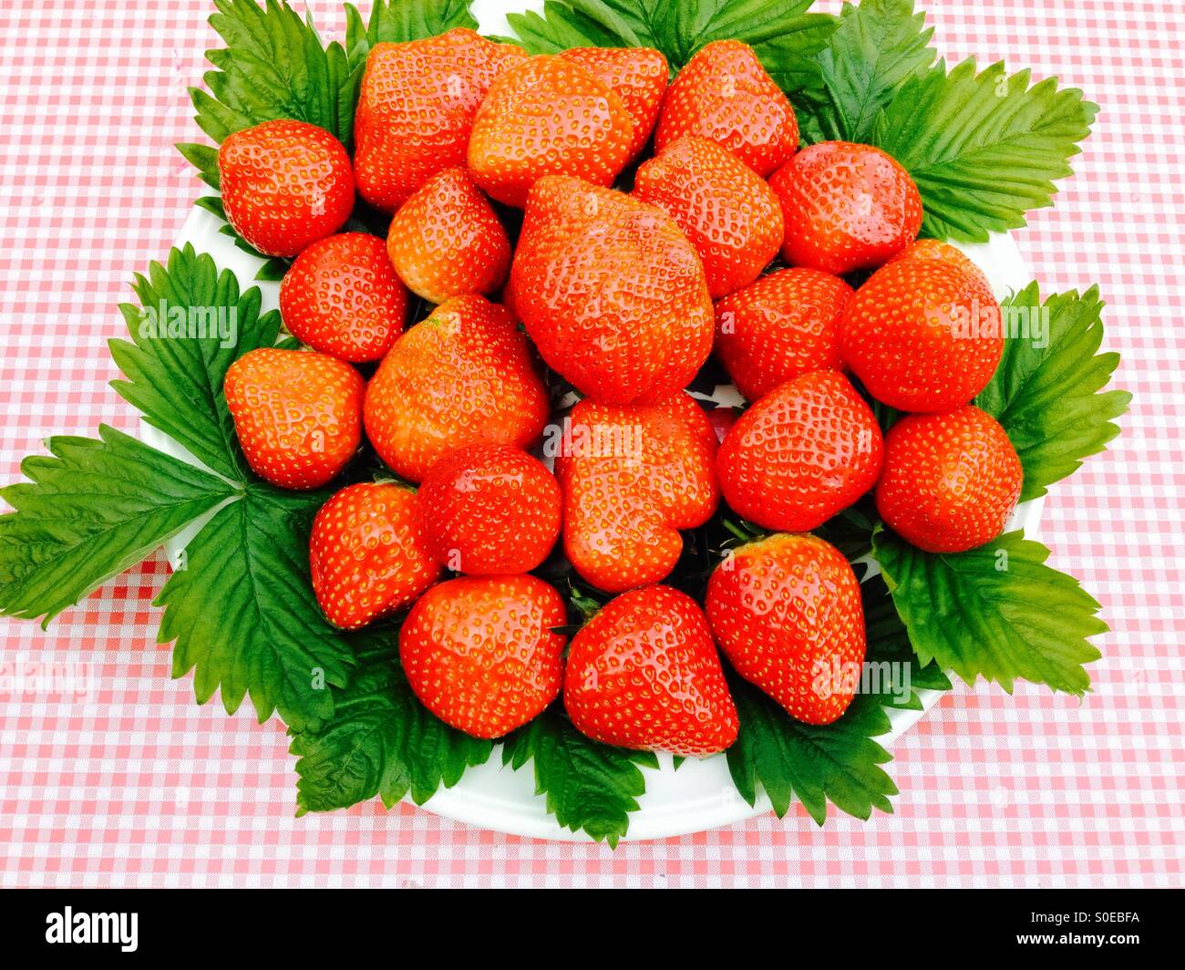 Plate of fresh English strawberries Stock Photo - Alamy