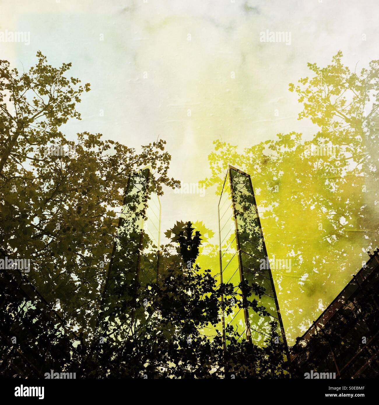 Tree and Architecture in Berlin Stock Photo - Alamy