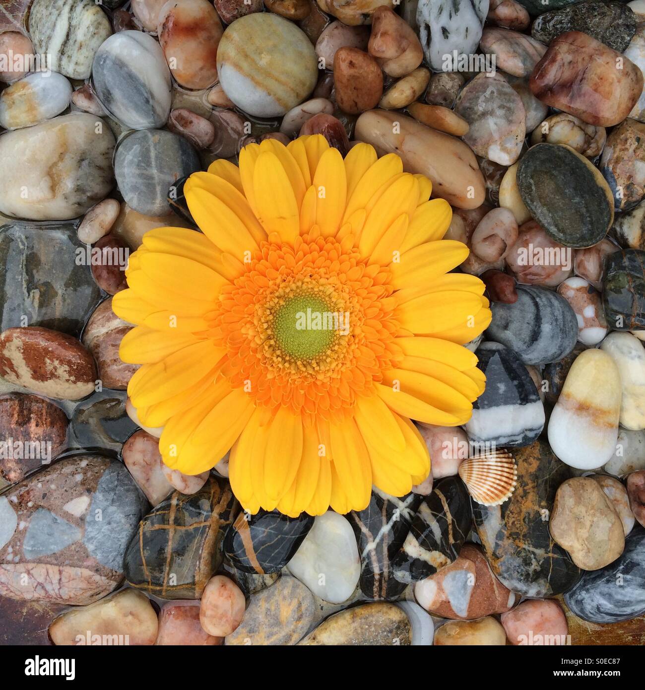 Jerba hi-res stock photography and images - Alamy