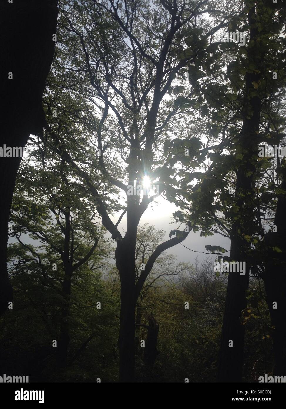 Sun and rain Stock Photo - Alamy