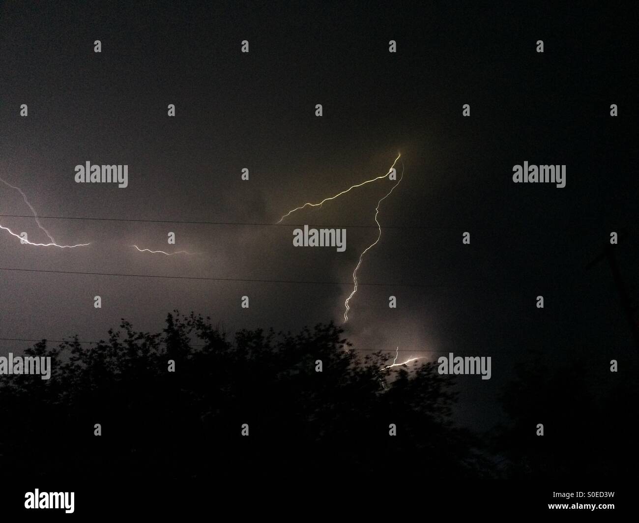 Lightning and trees hi-res stock photography and images - Alamy