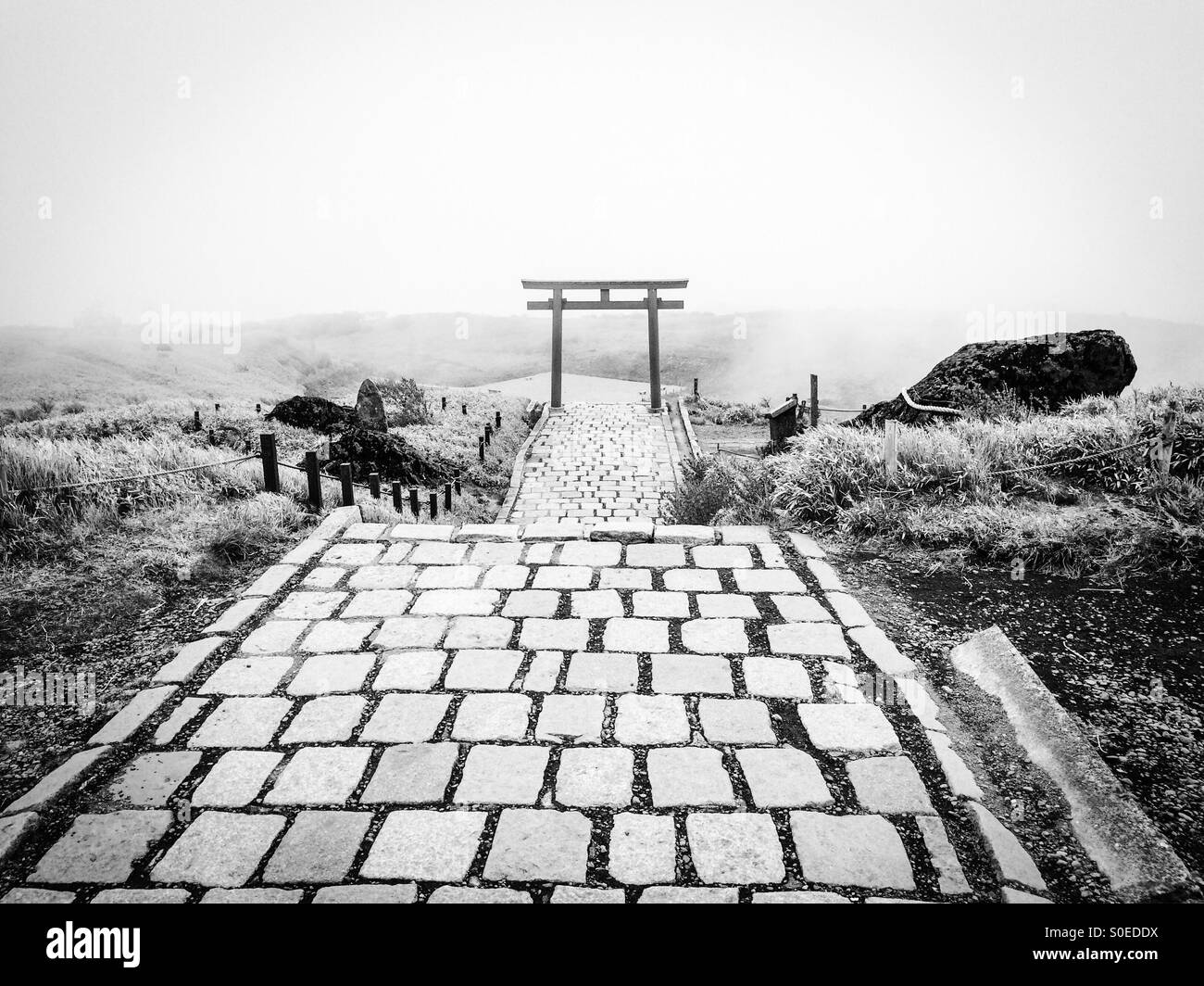 Hakone japan road hi-res stock photography and images - Alamy