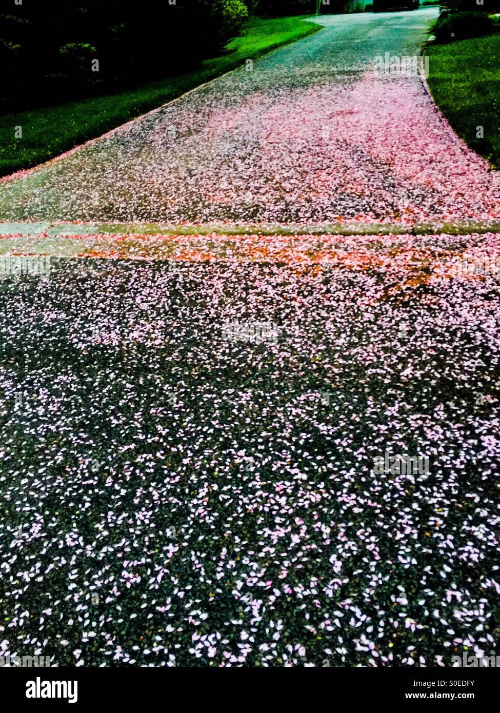Driveway in Spring Stock Photo - Alamy