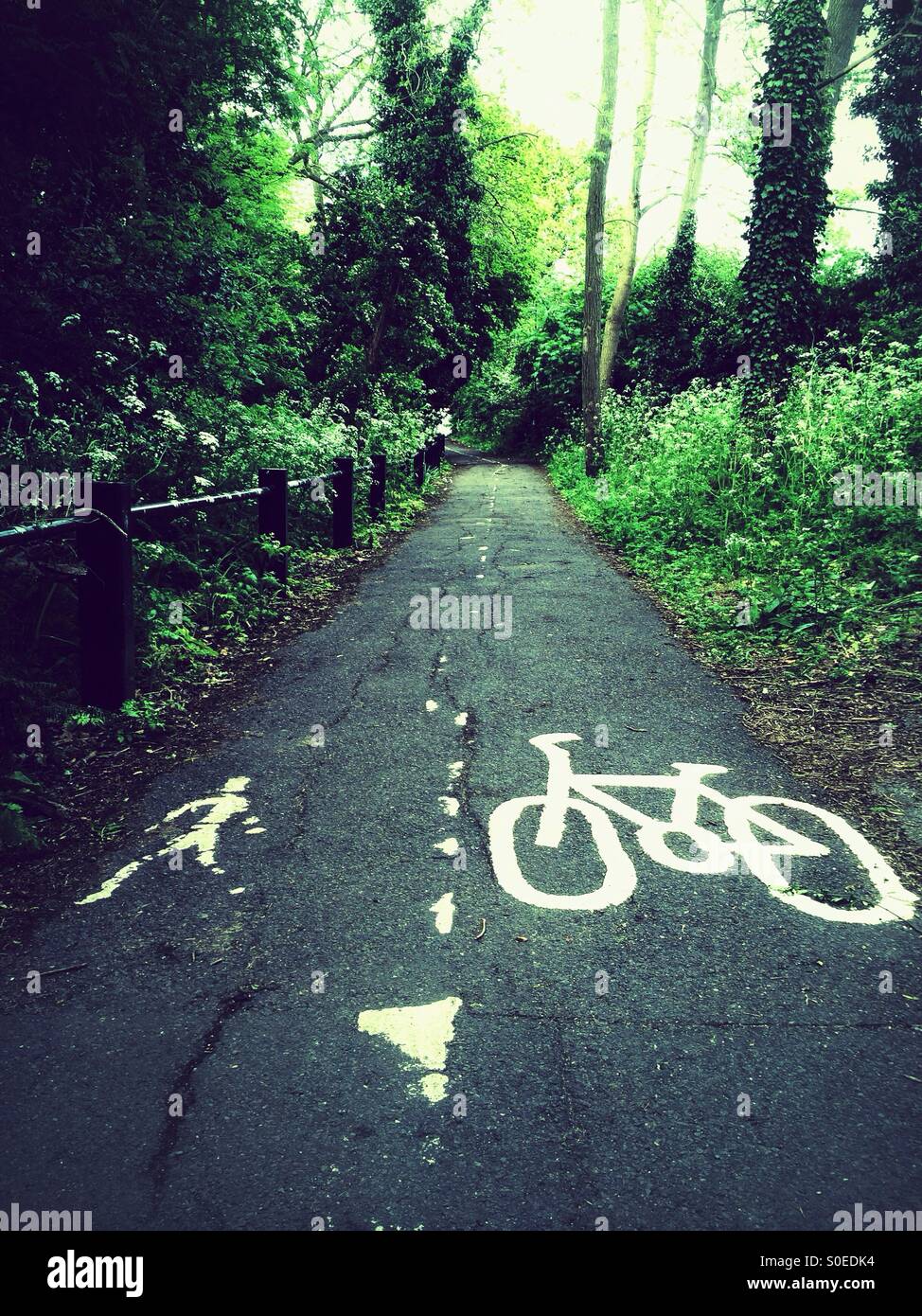 Walking cycle hi-res stock photography and images - Alamy