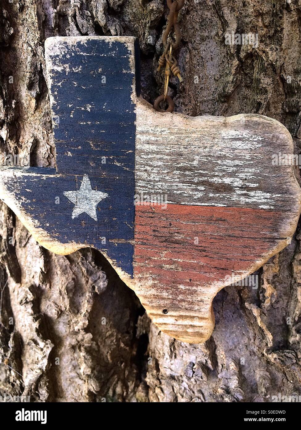Wooden Texas shape on tree Stock Photo - Alamy