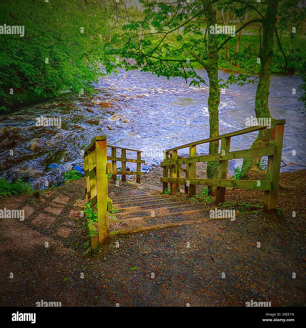 Steps to the river's edge Stock Photo - Alamy