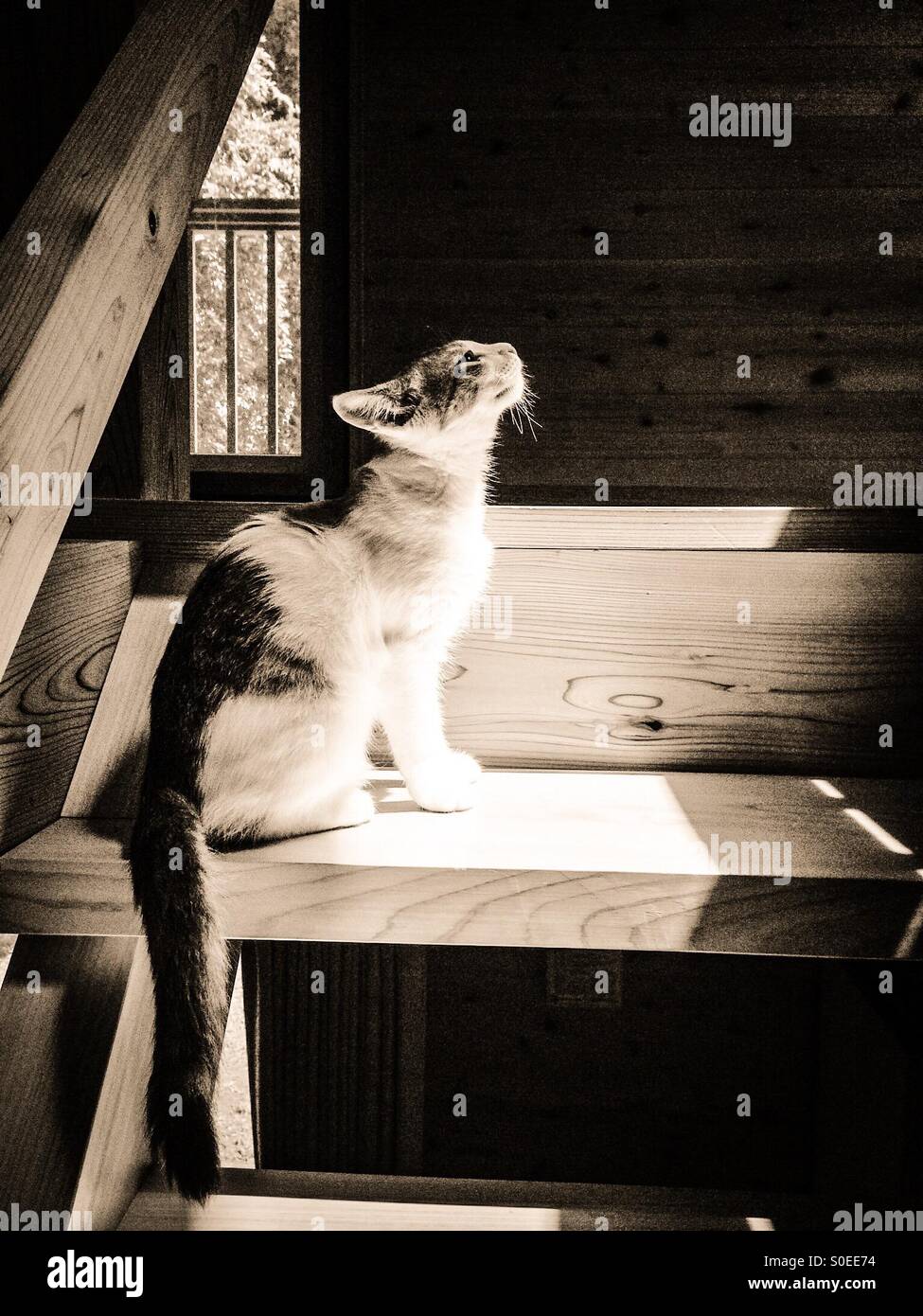 Catching sun house hi-res stock photography and images - Alamy