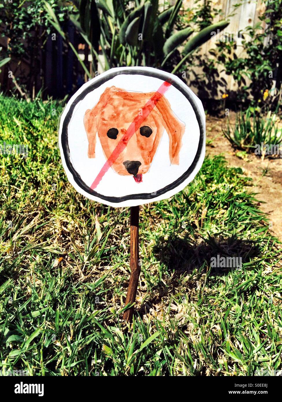 A handmade "keep pets off the grass" sign Stock Photo - Alamy