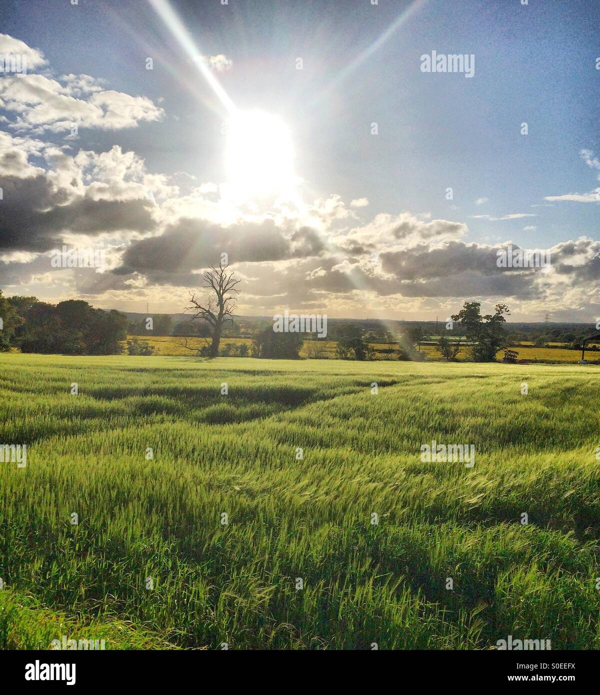 English sunset hi-res stock photography and images - Alamy