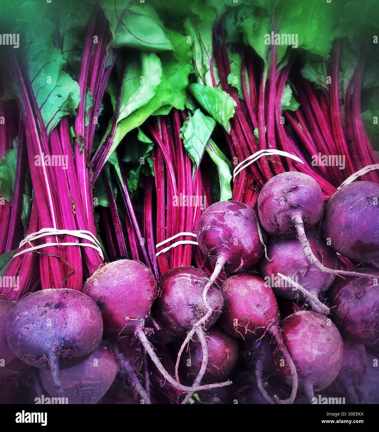 Bunches of Beetroots Stock Photo - Alamy