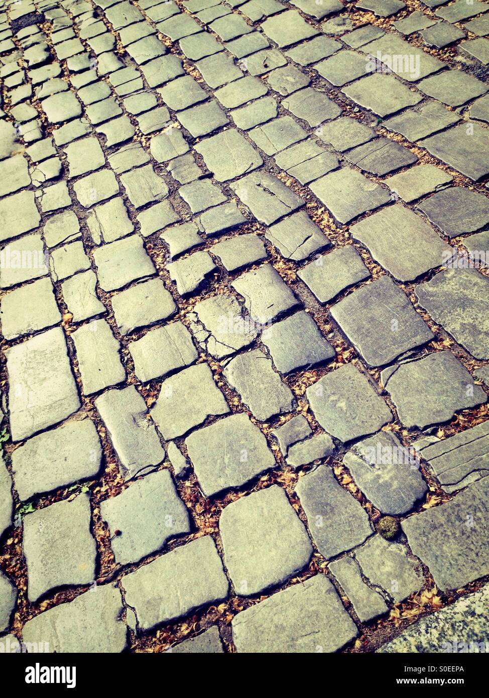 Cobblestones pavement hi-res stock photography and images - Alamy