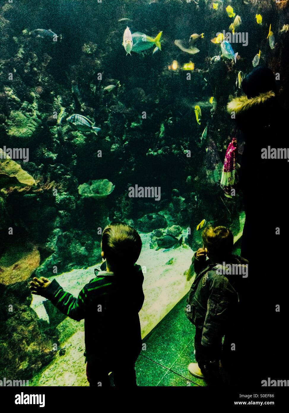 Mesmerised hi-res stock photography and images - Alamy