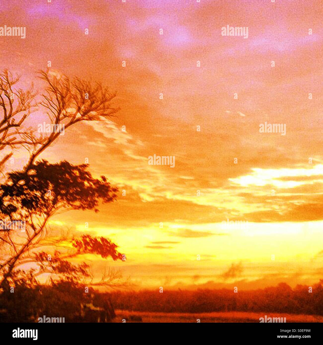 Orange haze sunset Stock Photo - Alamy