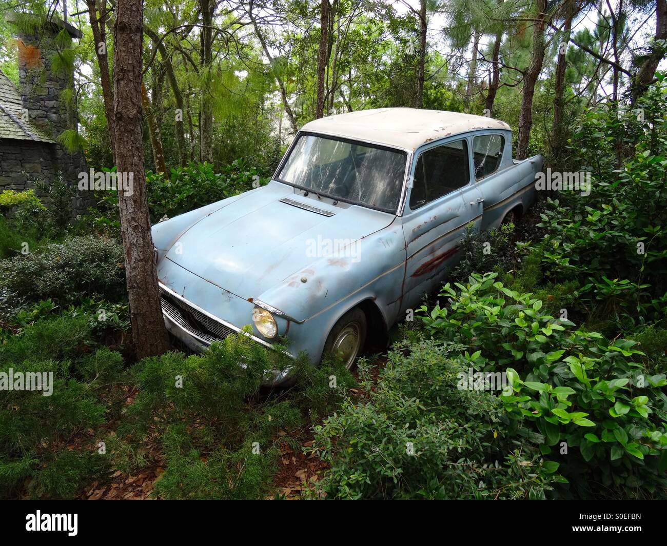 Ford Anglia in the Forbidden Forest Stock Photo - Alamy
