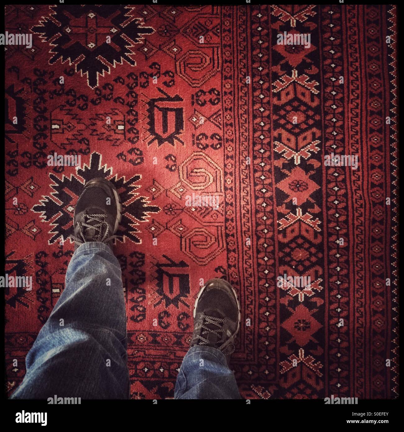 Photographer's feet on Persian carpet Stock Photo - Alamy
