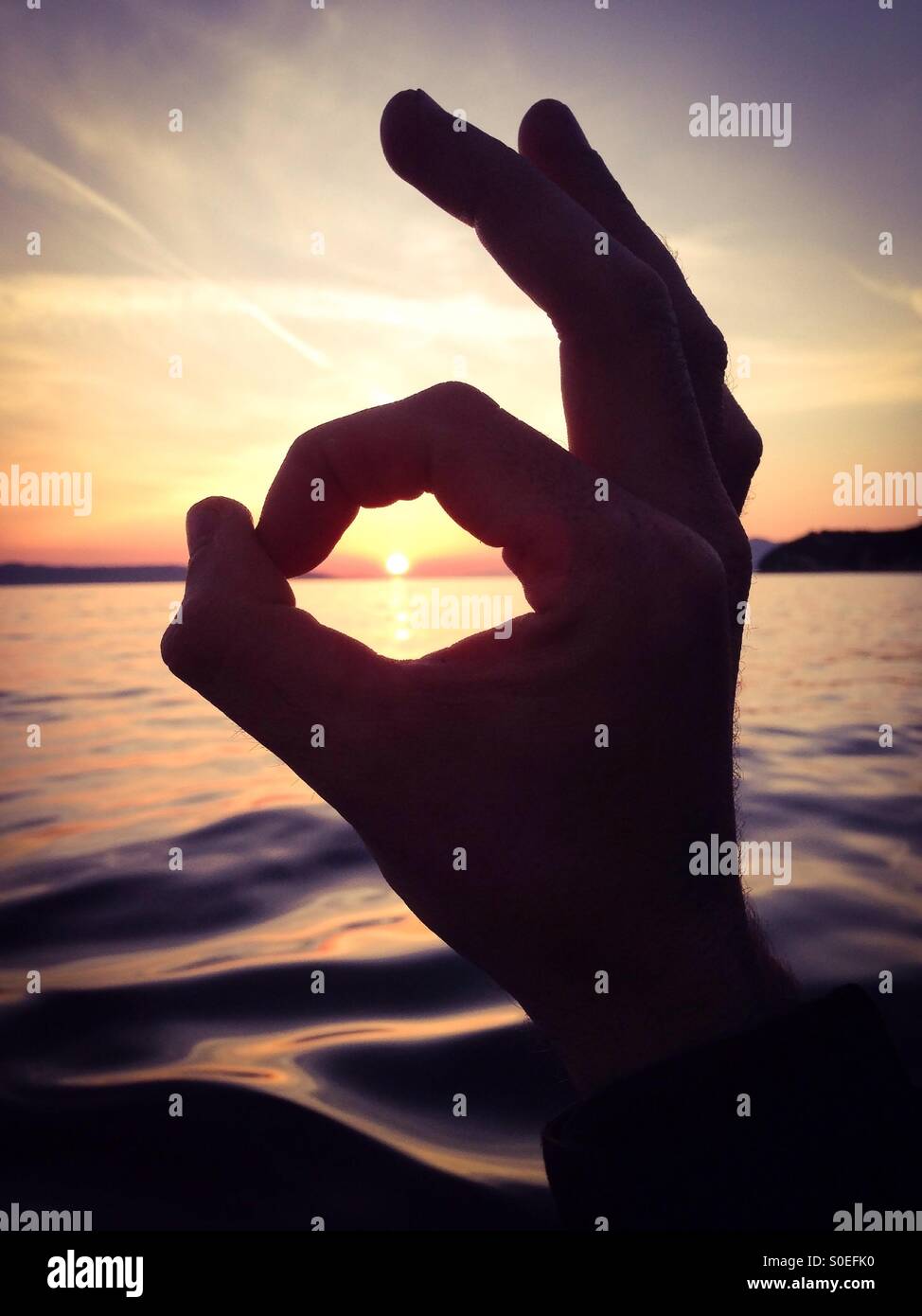 Sea fingers hi-res stock photography and images - Alamy