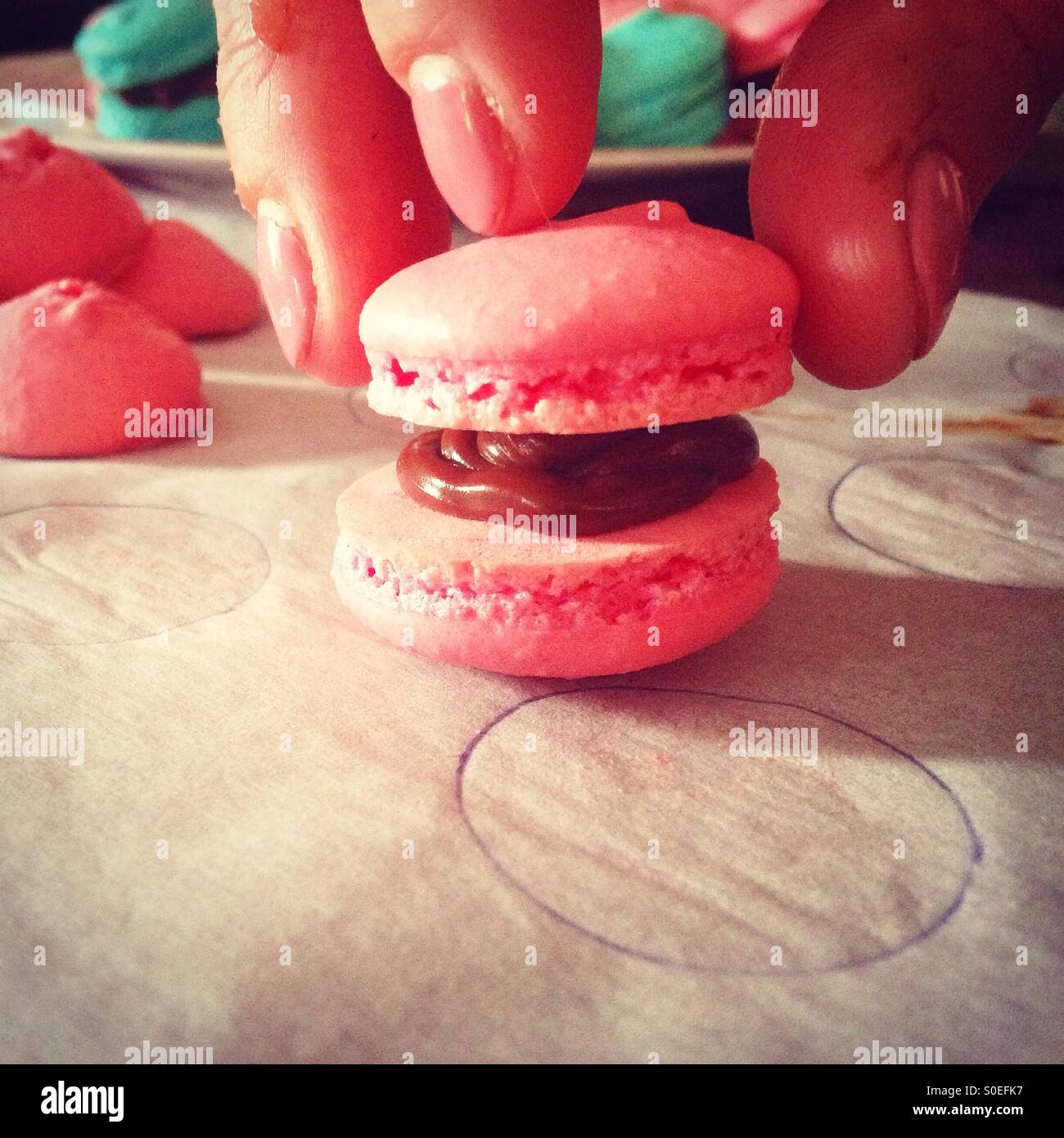 Woman making french macarons Stock Photo - Alamy