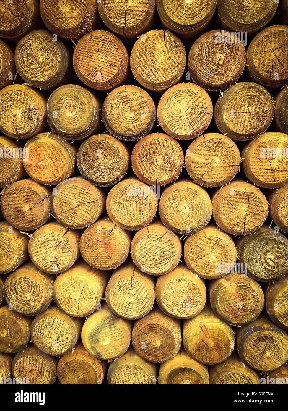Round pegs hi-res stock photography and images - Alamy