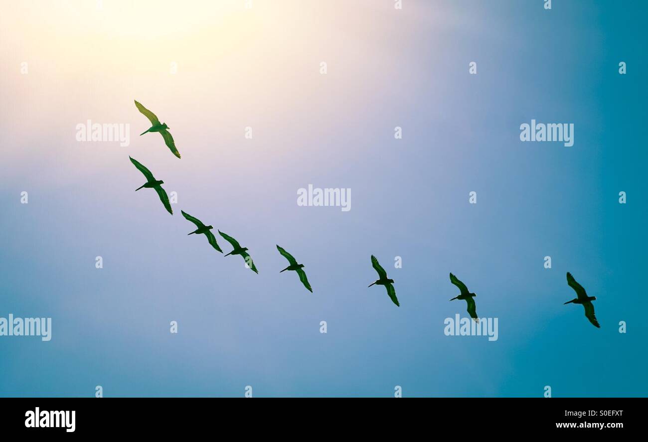 Victory flight hi-res stock photography and images - Alamy