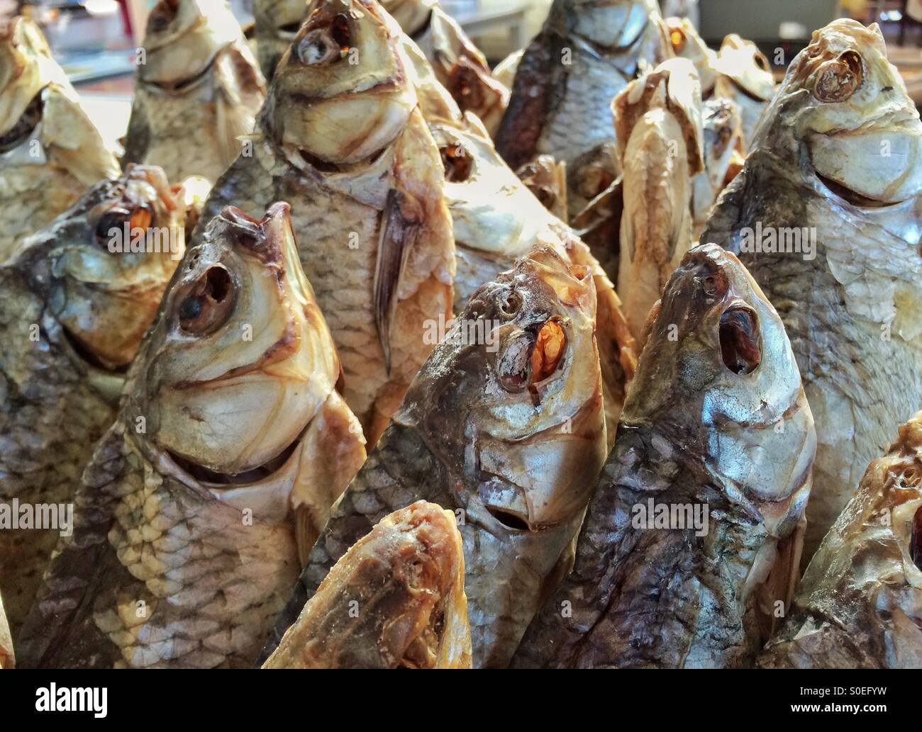 Dry fish Russian vobla in market Stock Photo - Alamy