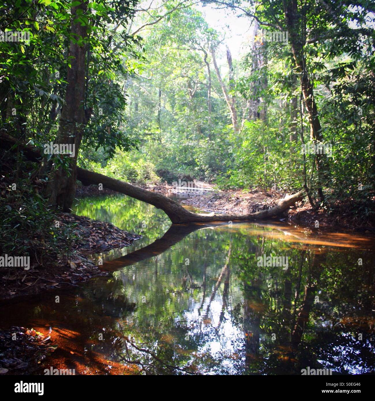 Beauty of peace hi-res stock photography and images - Alamy