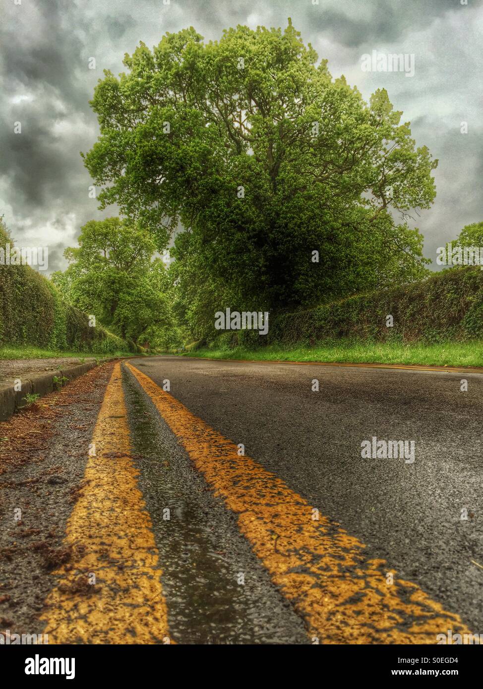 Line parking hi-res stock photography and images - Alamy