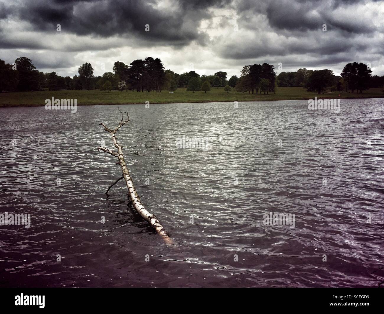 Mere pond hi-res stock photography and images - Alamy
