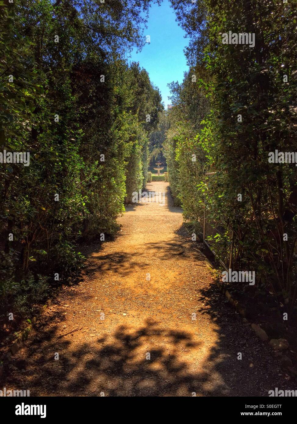 Treelined pathway hi-res stock photography and images - Alamy