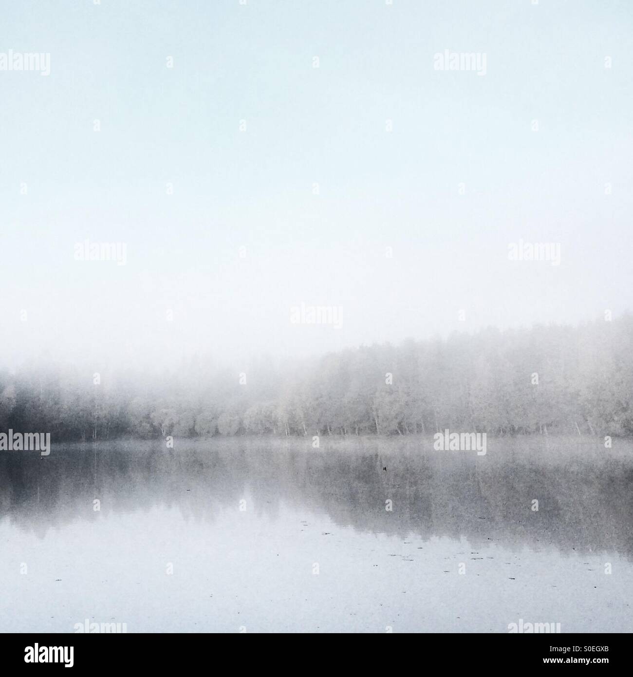 Lakeside morning hi-res stock photography and images - Alamy