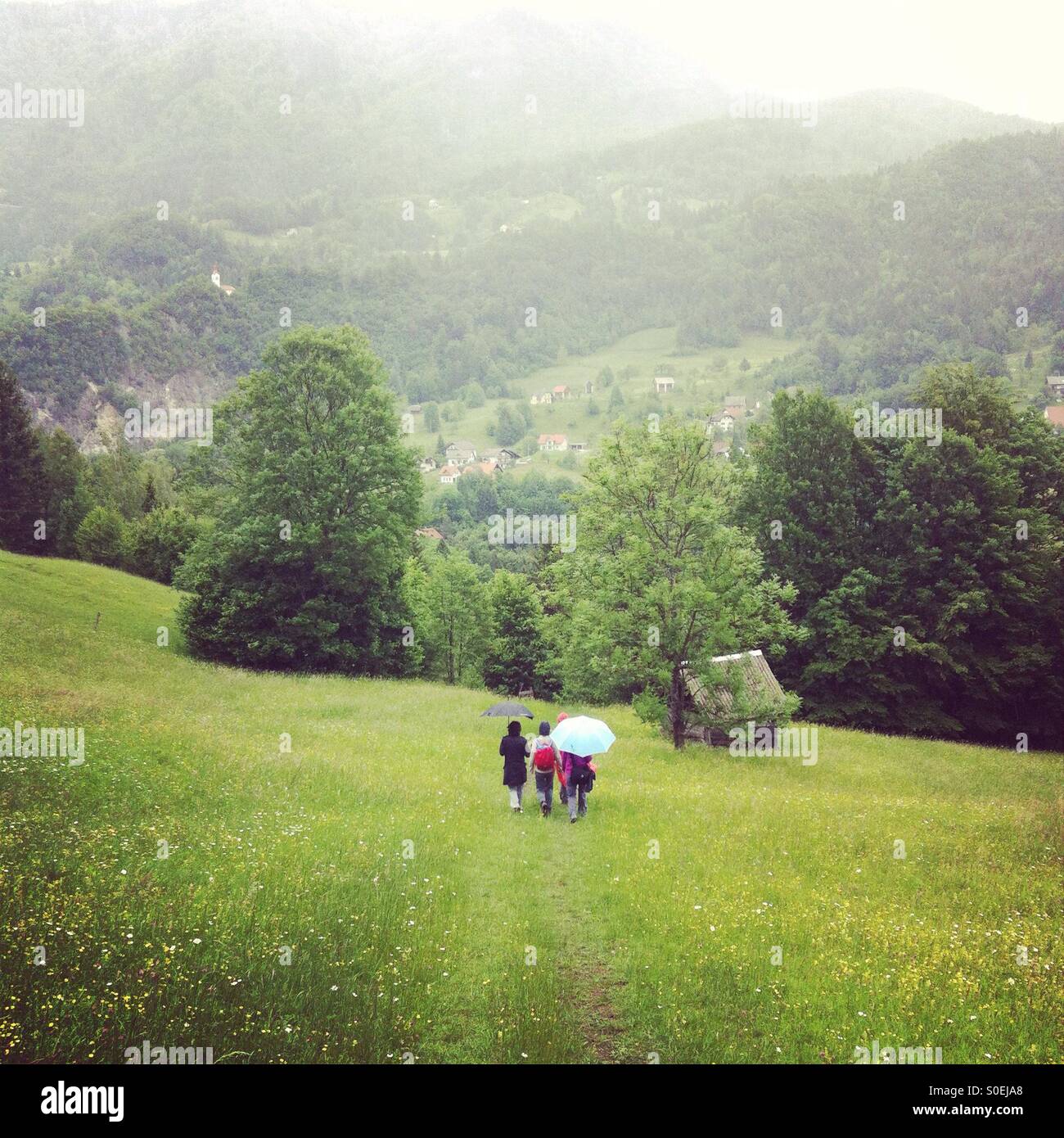 Take a walk nature hi-res stock photography and images - Alamy