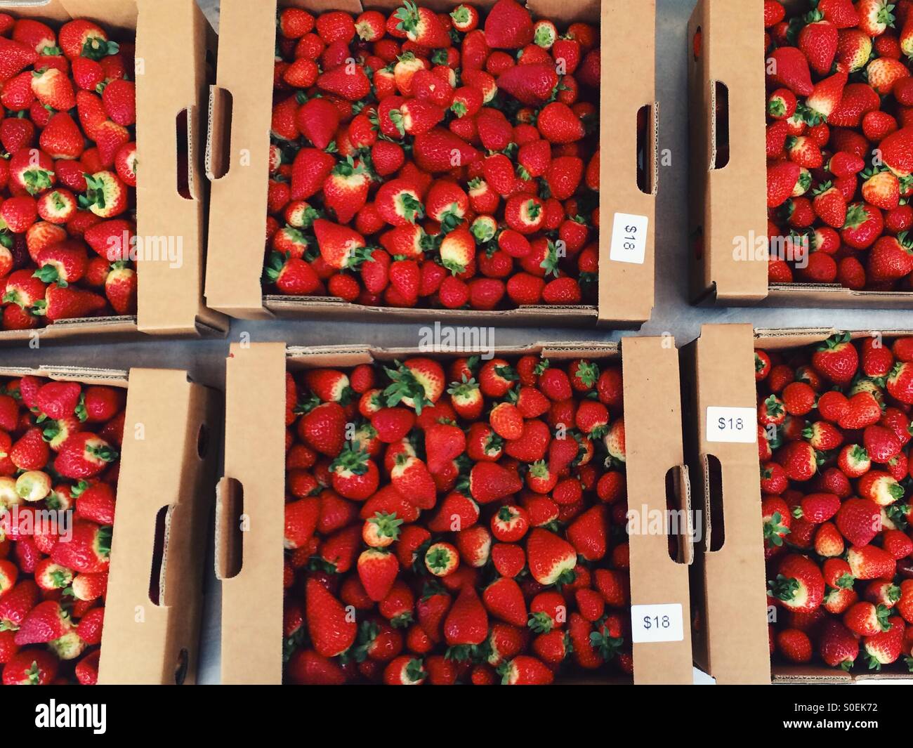 Boxes of strawberries Stock Photo - Alamy
