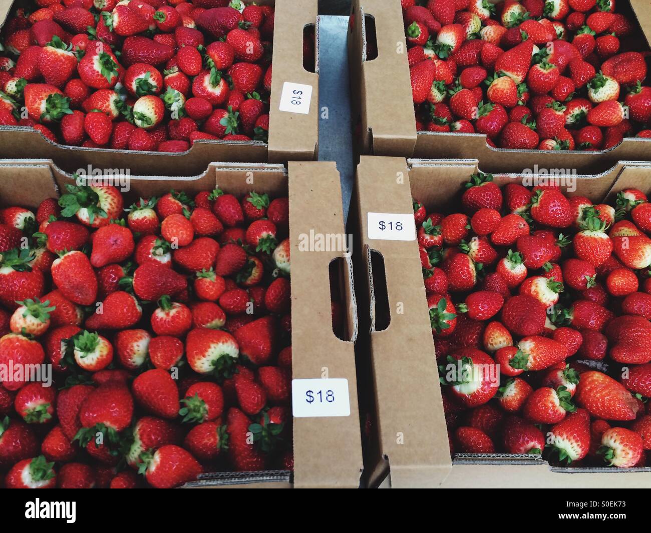 Boxes of strawberries Stock Photo - Alamy