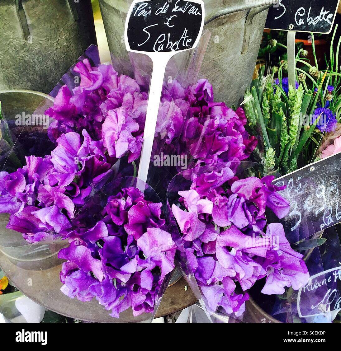 Purple paris hi-res stock photography and images - Alamy