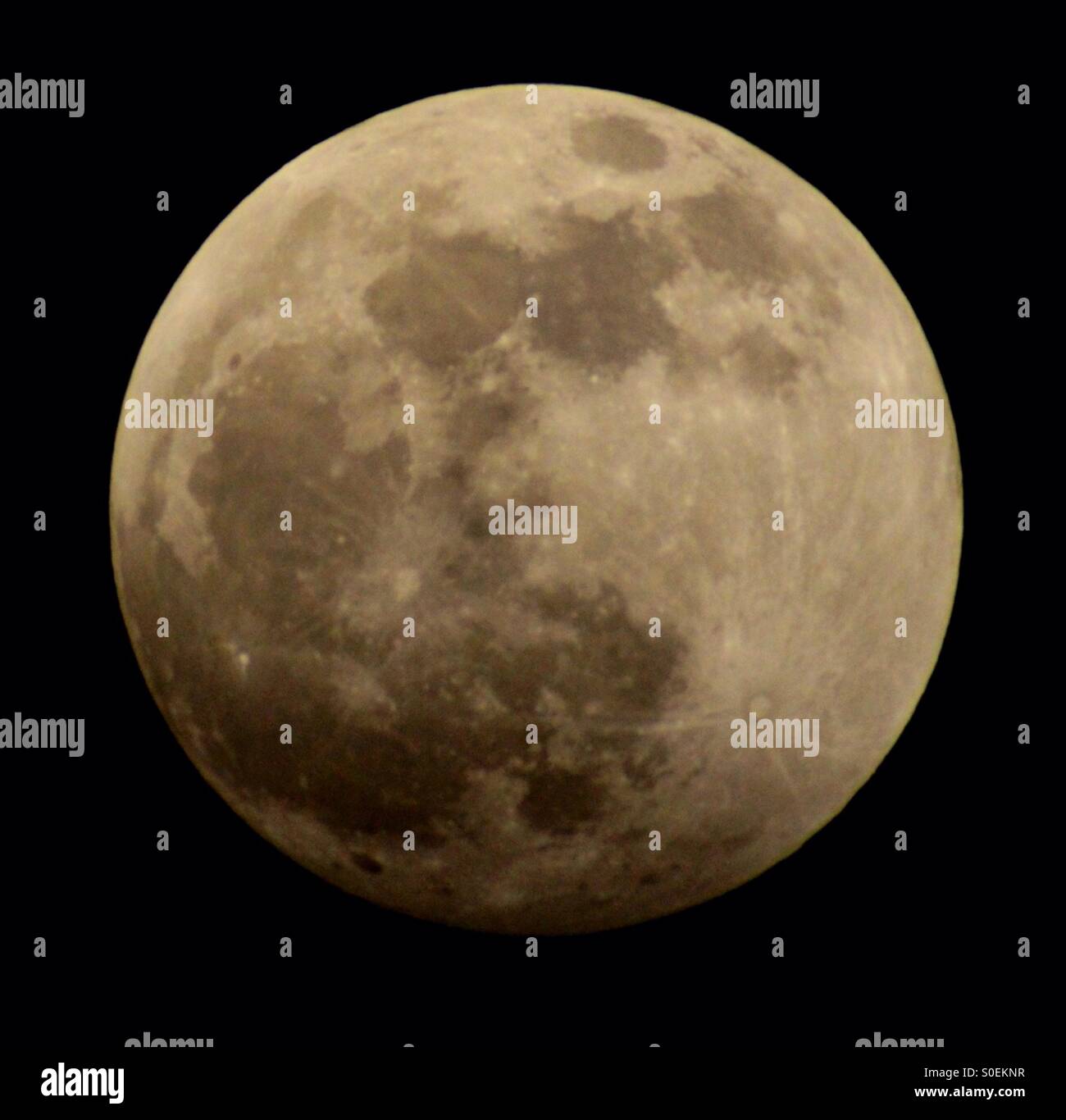 Full Super Moon Stock Photo - Alamy