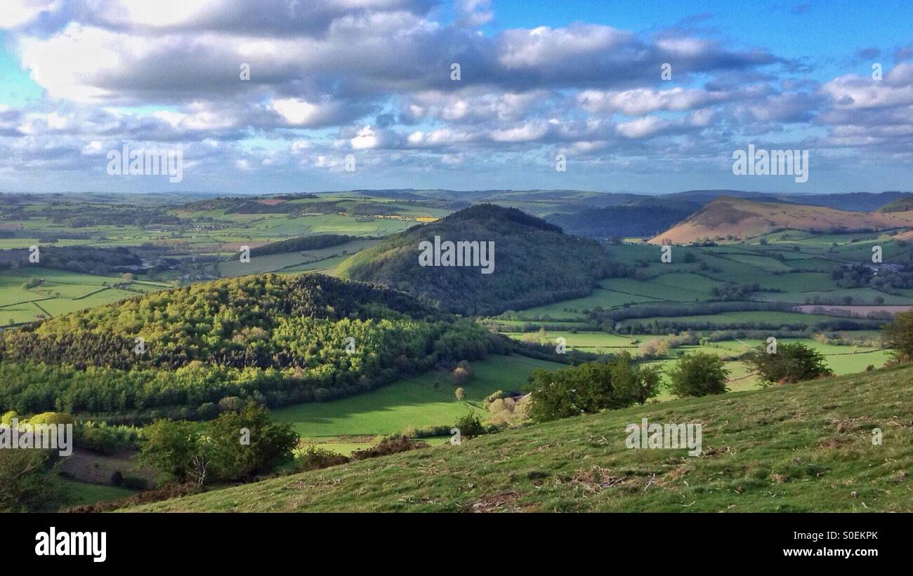 Late afternoon light on the Hergest Ridge near Kington, Herefordshire ...
