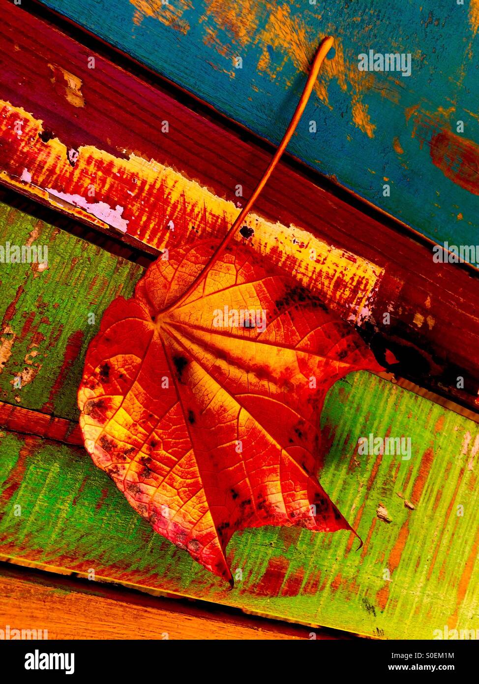 Color table hi-res stock photography and images - Alamy