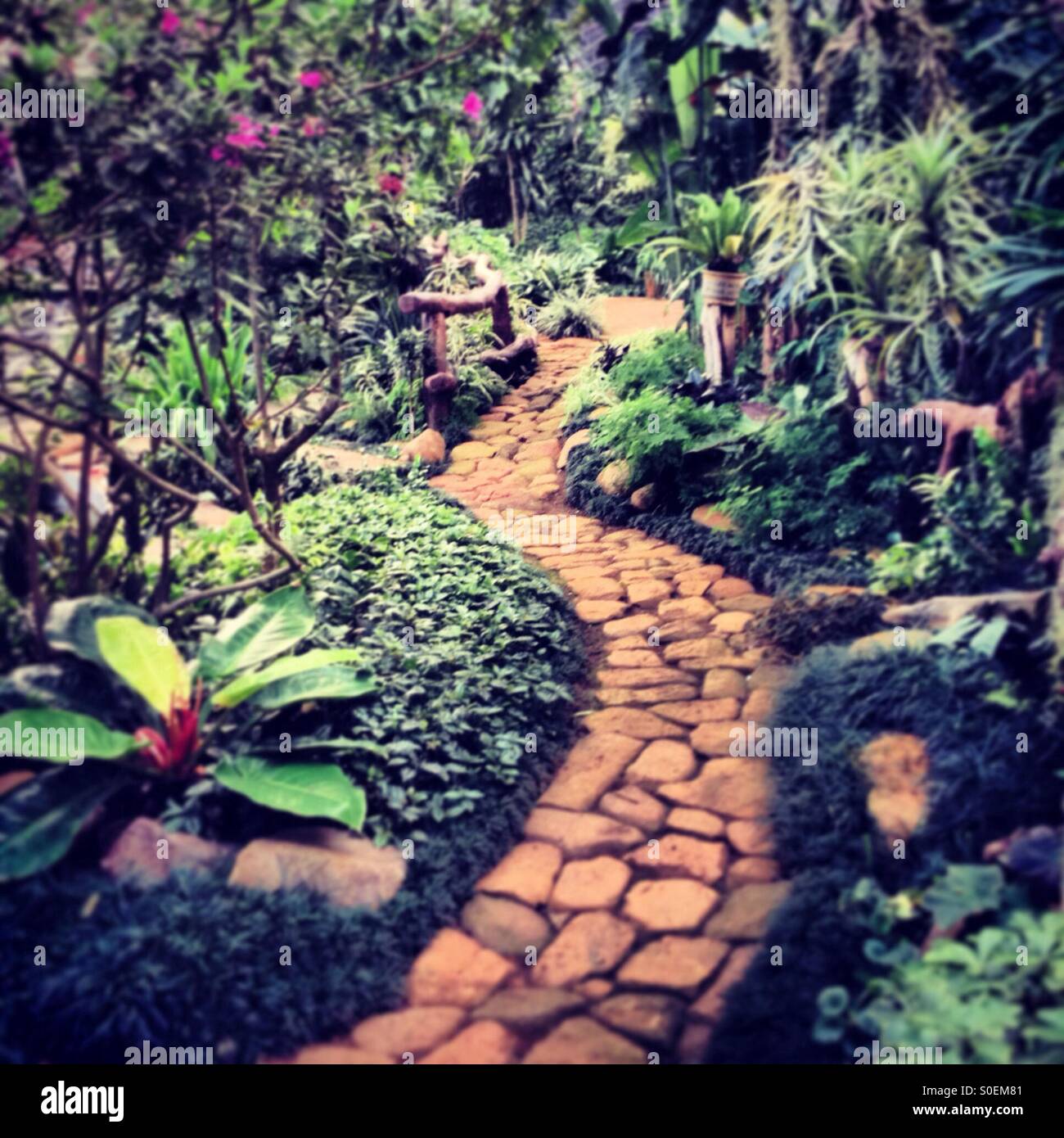 Stone walking path thailand hi-res stock photography and images - Alamy