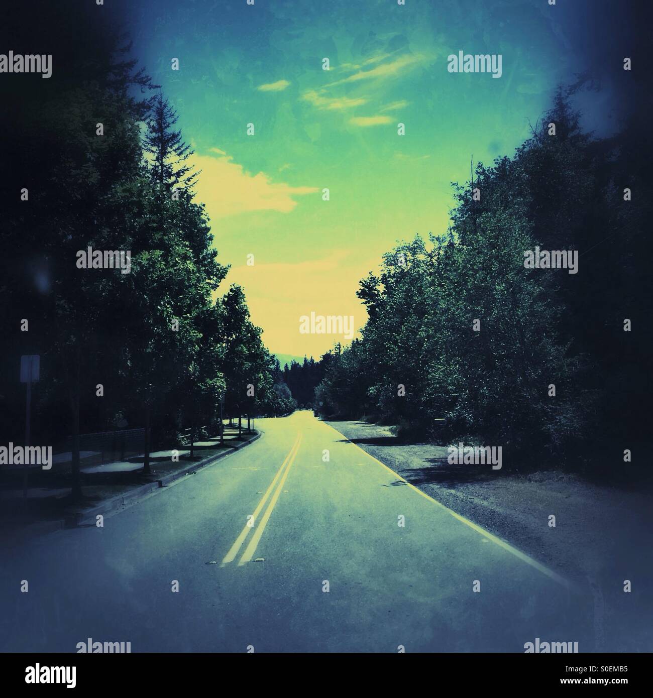 Central perspective tree lined hi-res stock photography and images - Alamy