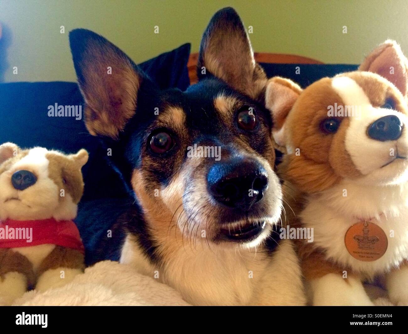 Corgi toys hi-res stock photography and images - Alamy