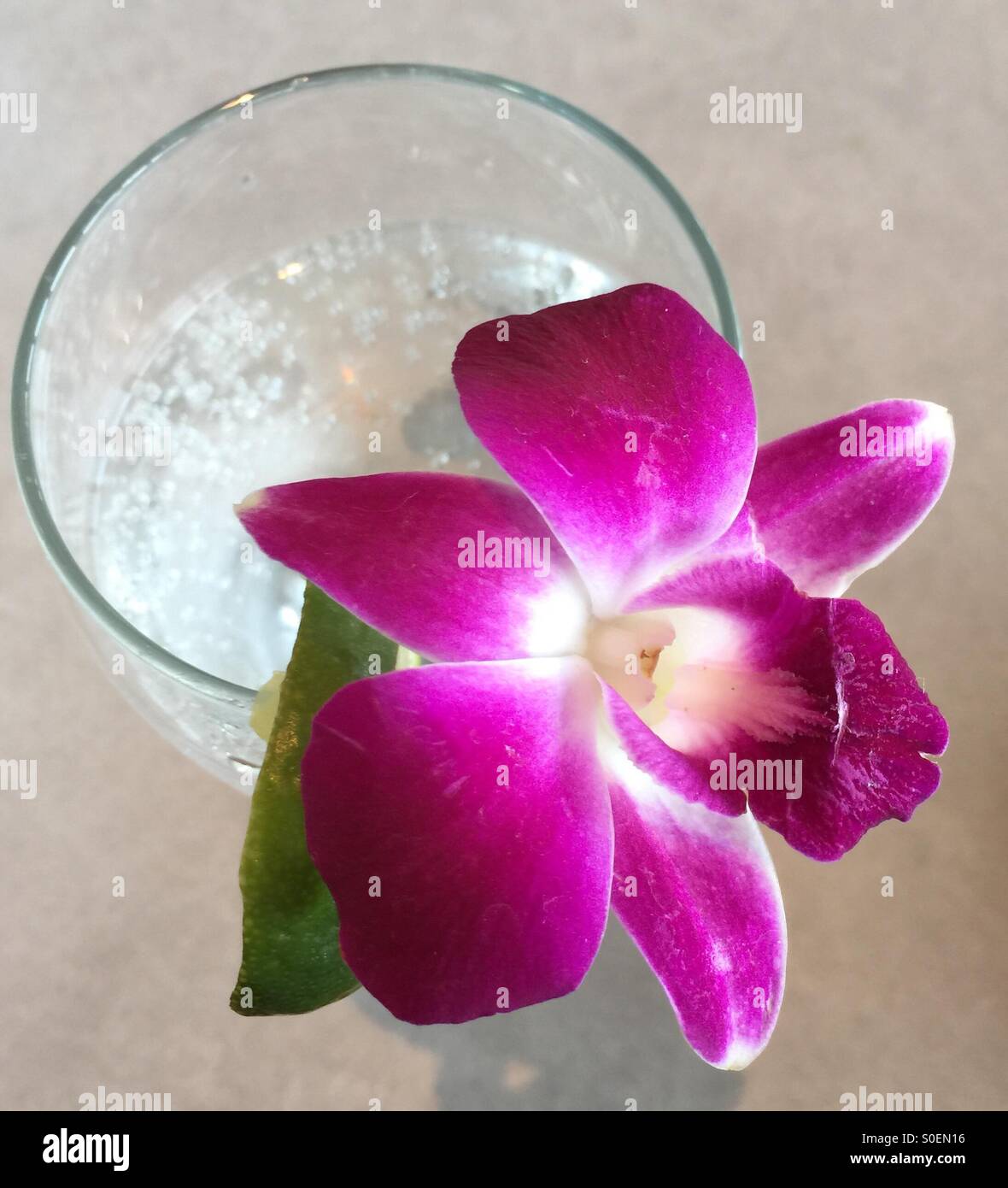 Flower in drink glass Stock Photo - Alamy