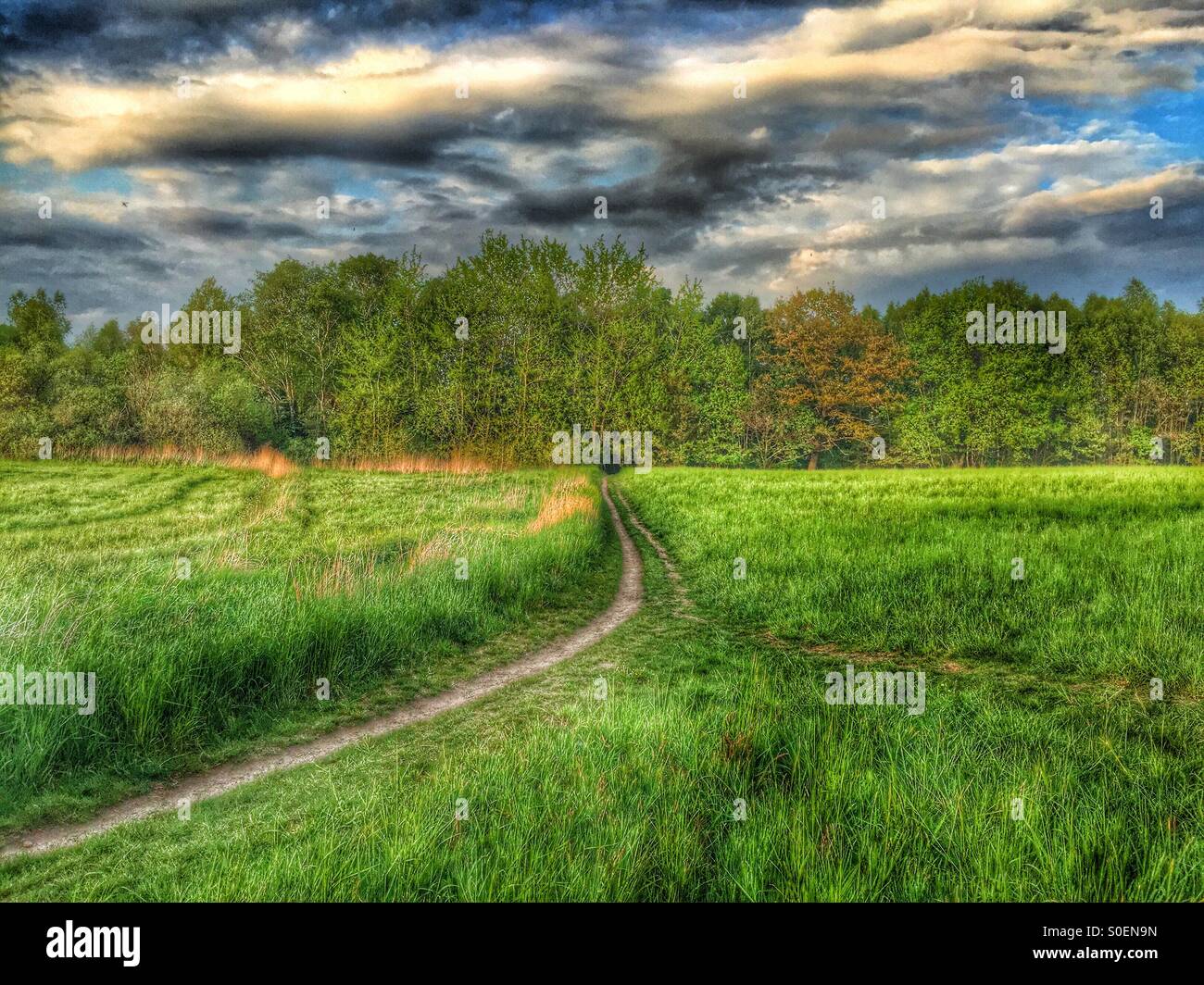 Path in the countryside Berlin Germany Stock Photo - Alamy