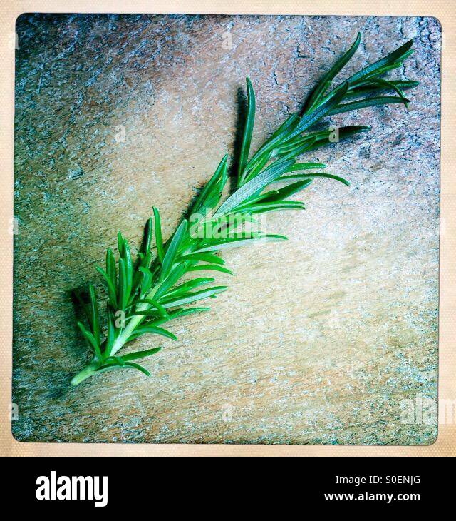 Rosemary texture hi-res stock photography and images - Alamy