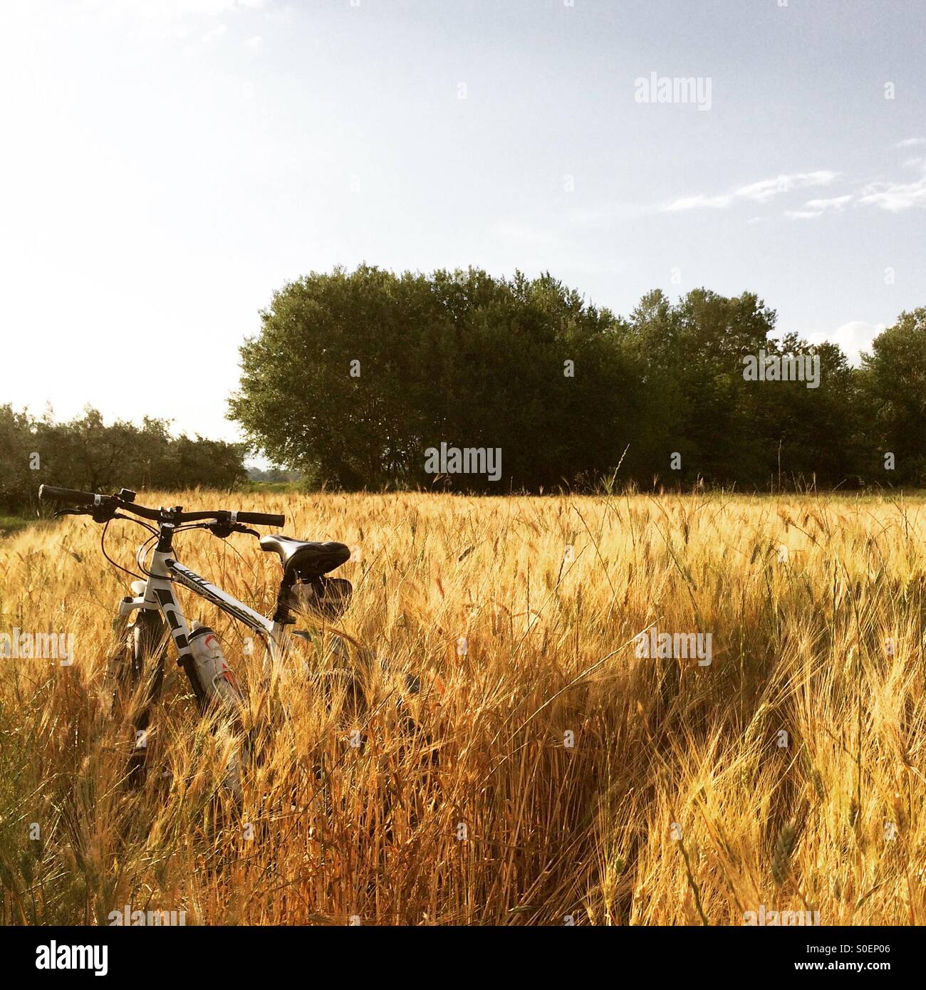 Earth works hi-res stock photography and images - Alamy