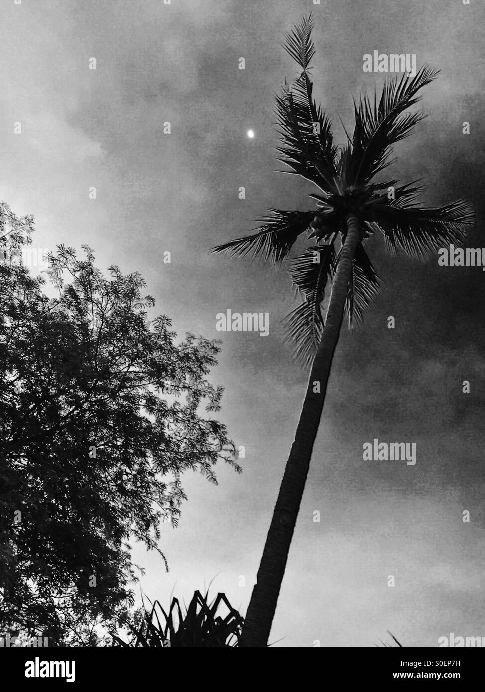 Moon Lit High Resolution Stock Photography and Images - Alamy